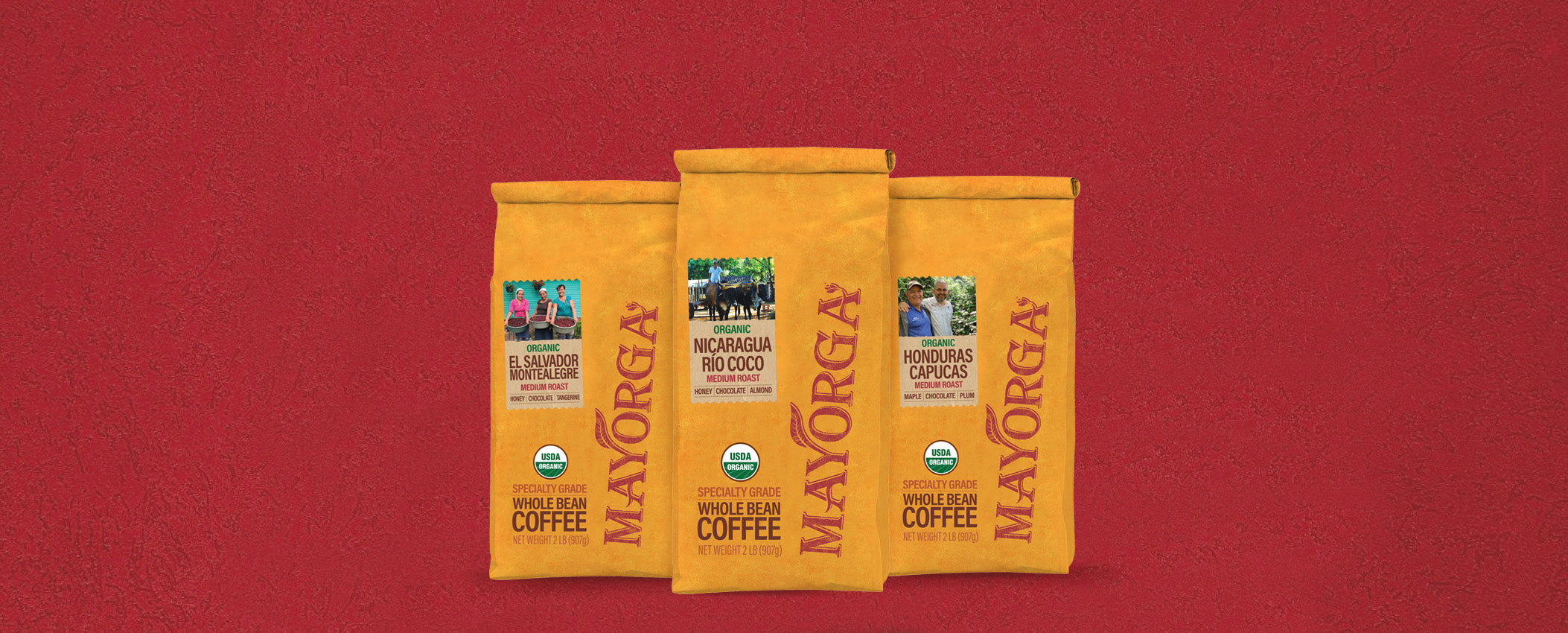Mayorga Single Origins: Explore the World, One Brew at a Time - Mayorga Coffee
