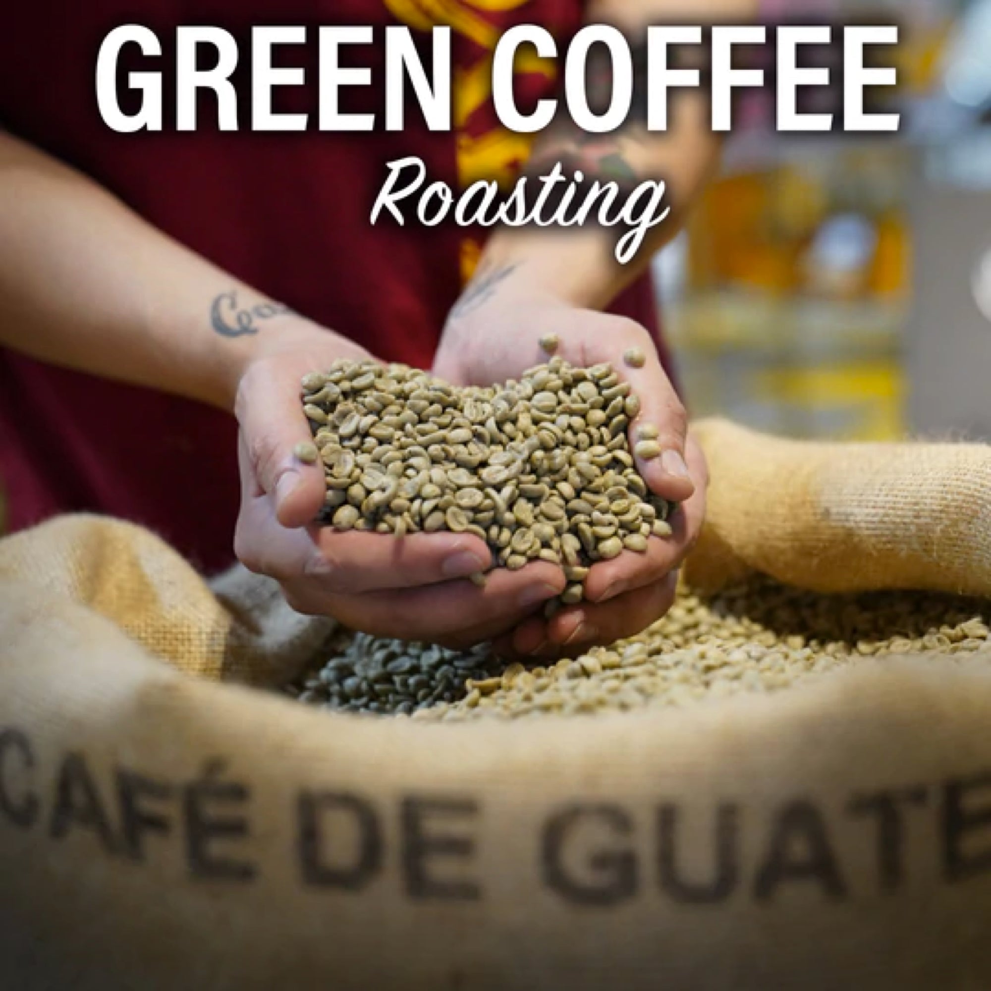 Brewing Guide - Mayorga Coffee