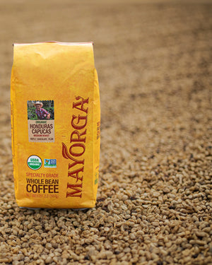 Mayorga Coffee