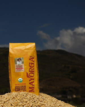 Mayorga Coffee